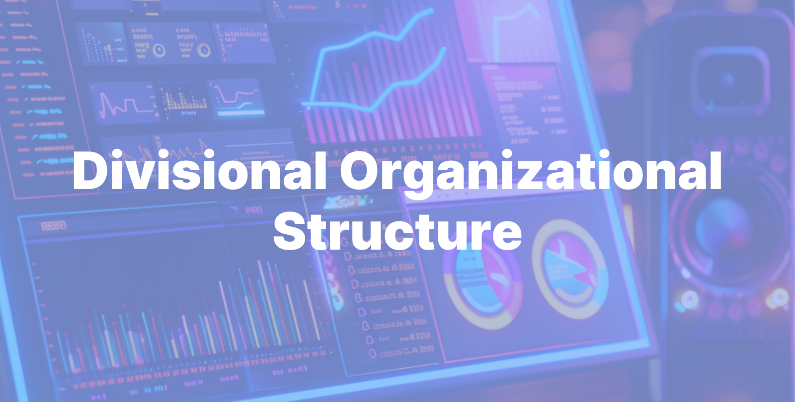 Divisional Organizational Structure